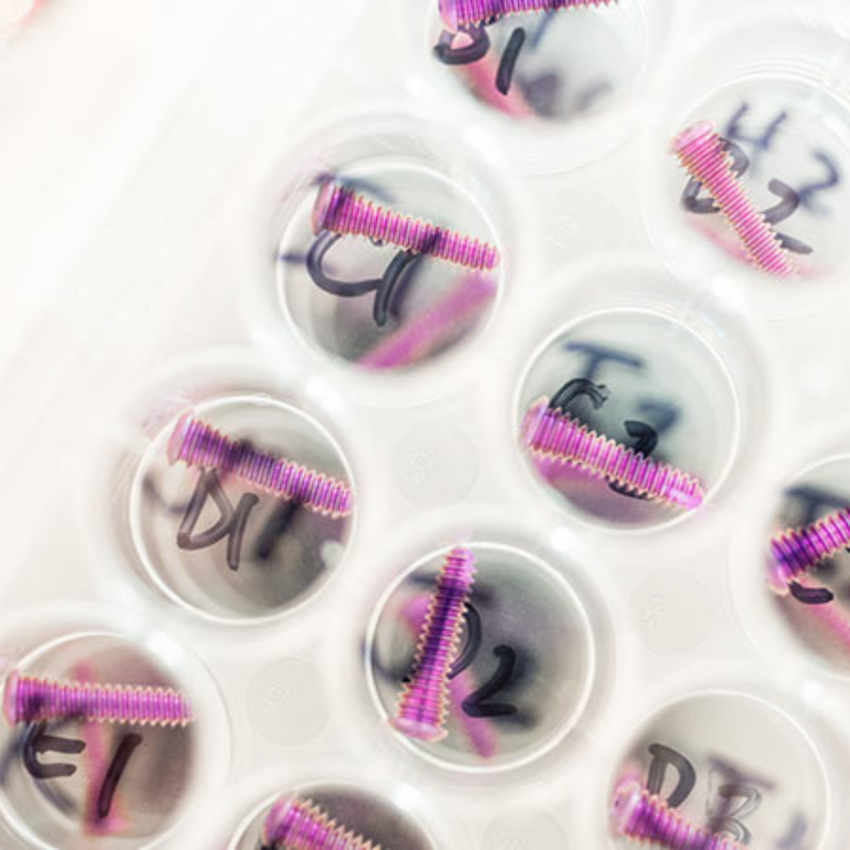 Orthobond Technology - orthobond.com